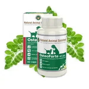 Natural Animal Solutions – OsteoForte | Paws & Palettes